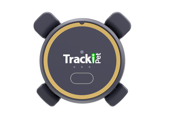 Tracki Pet Mini CAT1 2025